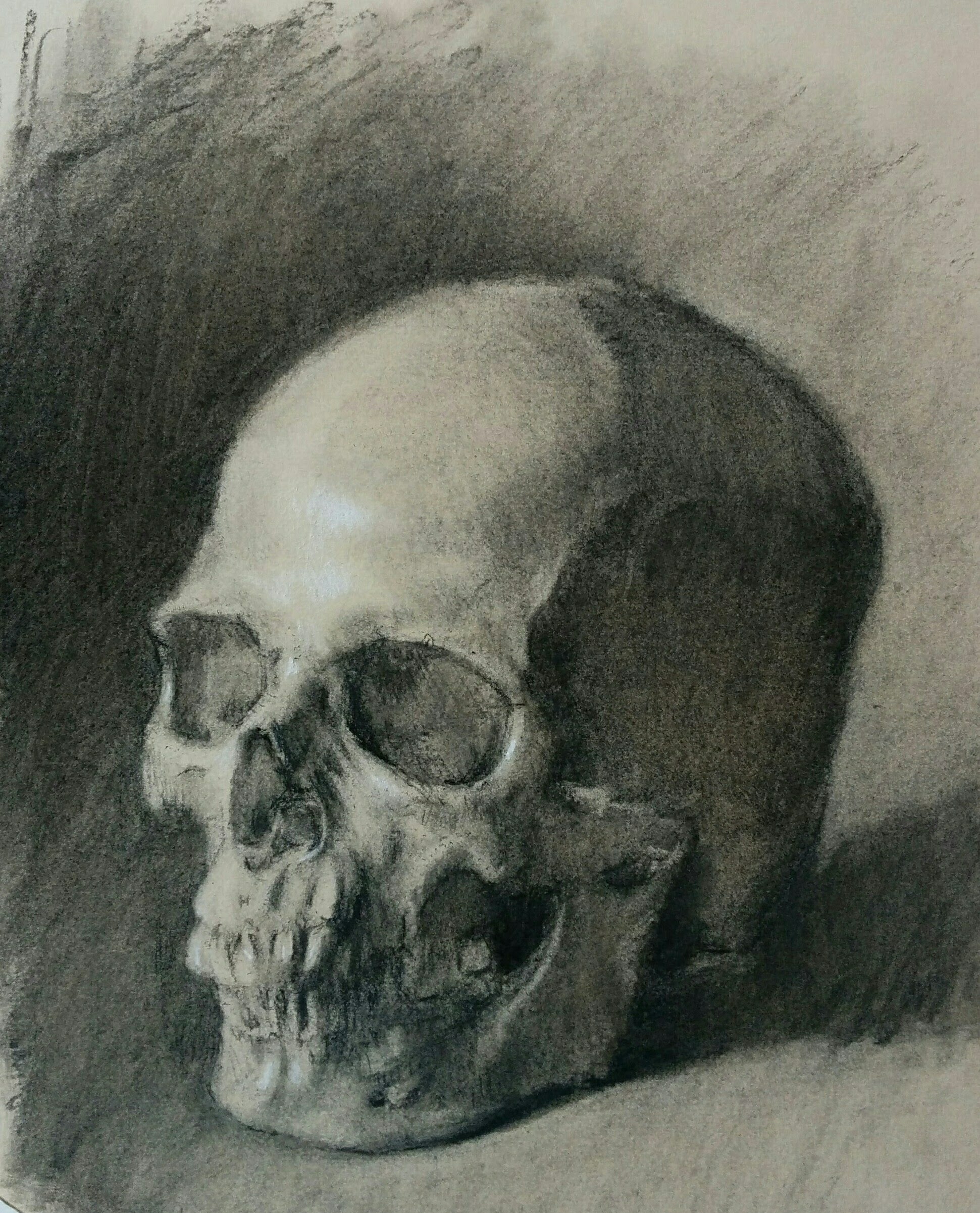 skull drawing
